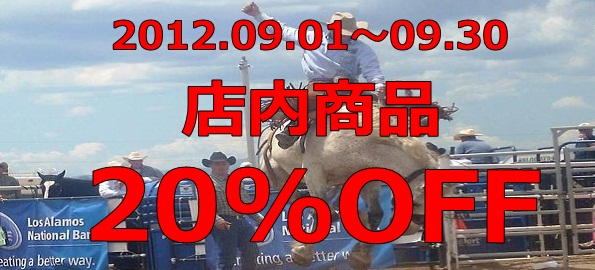 a_aaa-Santa-Fe-Rodeo-Bronc-Rider | | 美容室 Samsara